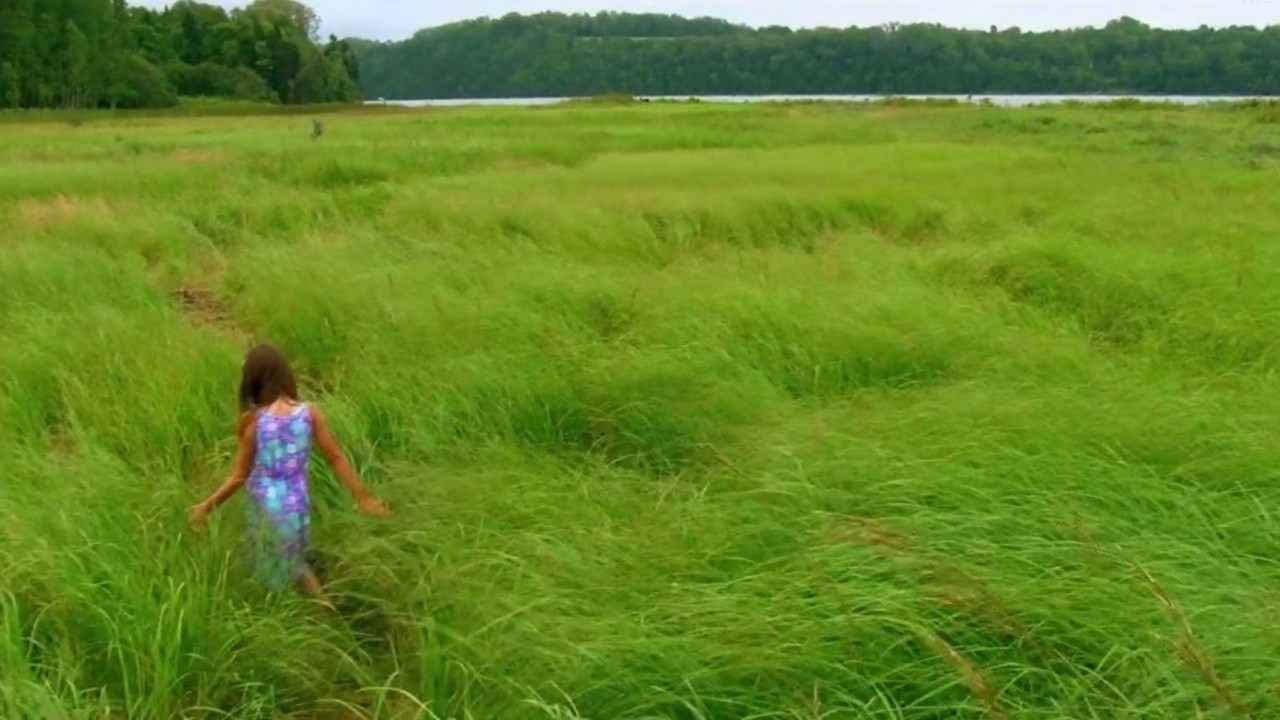 I Remember 2014 Mubi