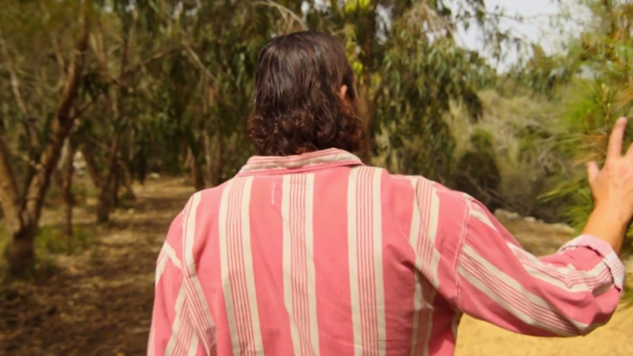 Arcadia (2017) | MUBI