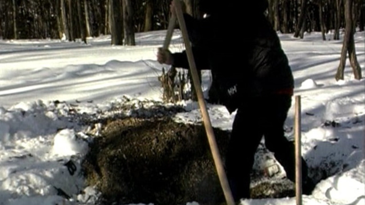 Off Fuck Off (1998) | MUBI