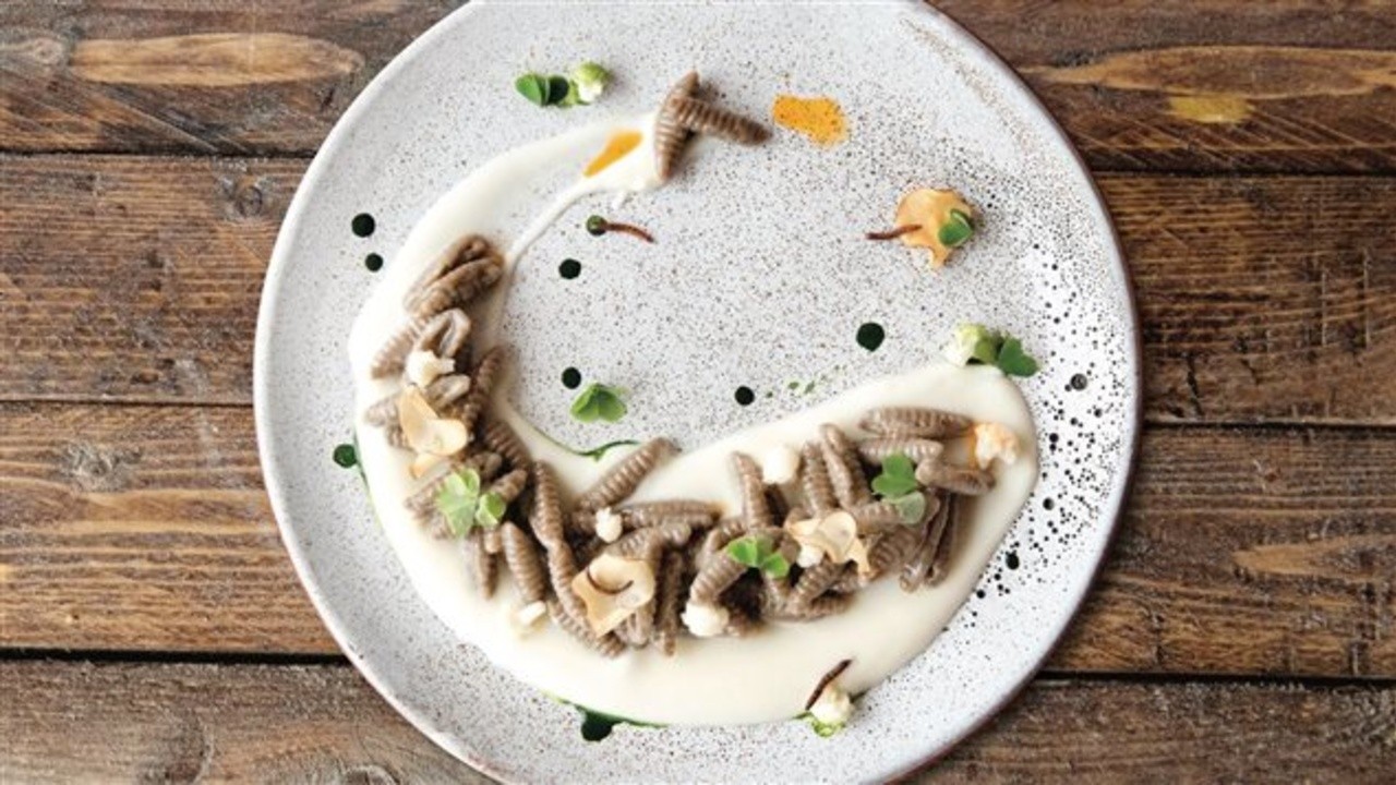 Bugs on the Menu (2016) | MUBI