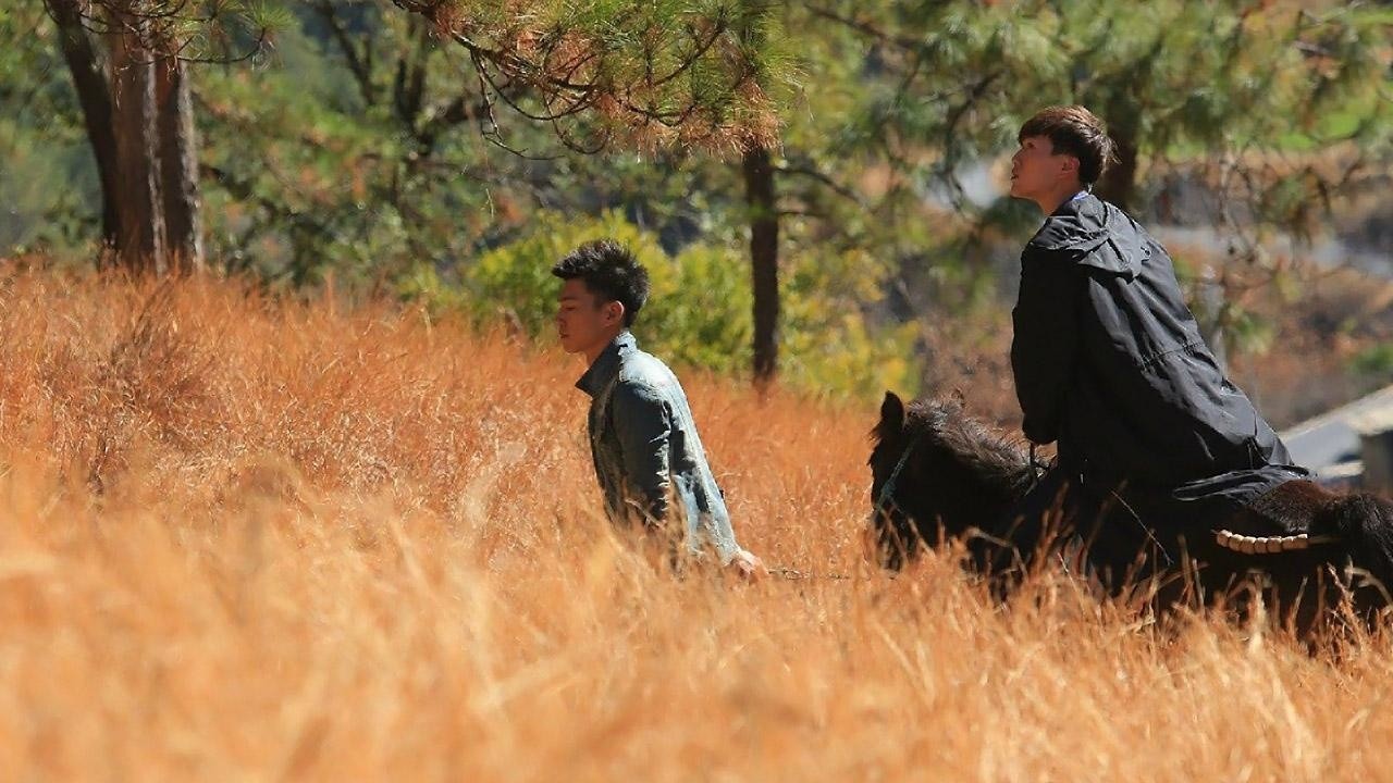 The Third Country (2017) | MUBI