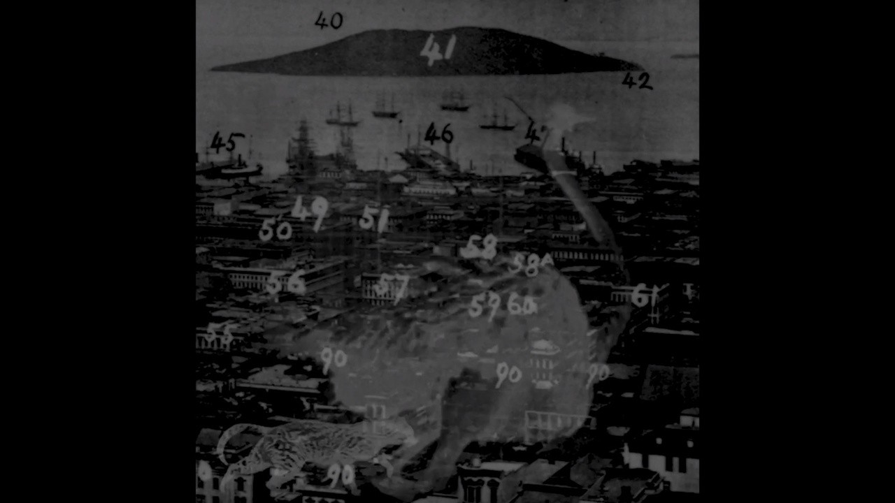 Camera Trap (2019) | MUBI