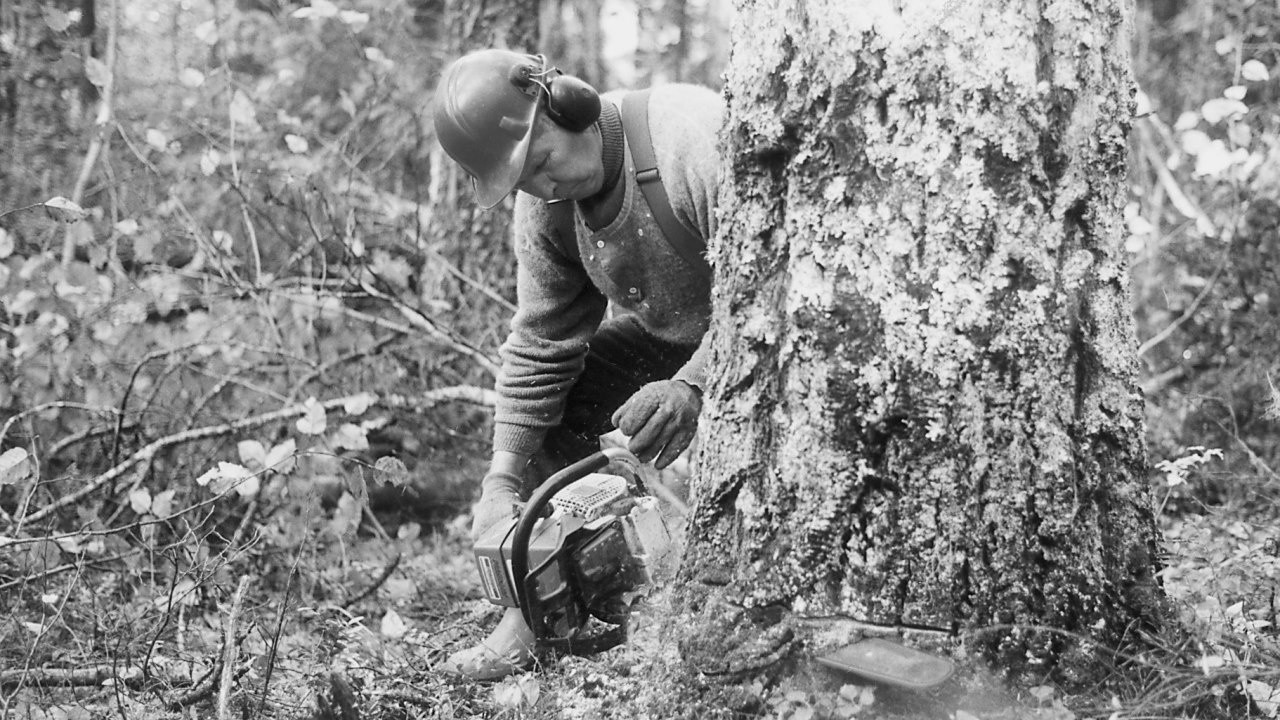 Falling (1998) | MUBI