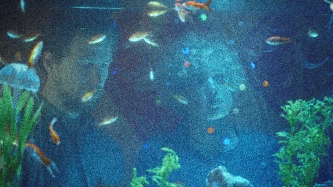 Fish Like Us (2020) | MUBI