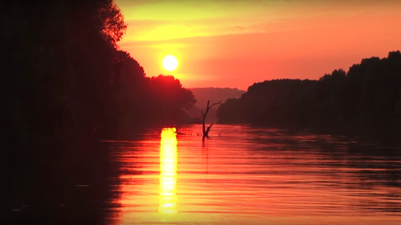 Blue Sava Dreams (2018) | MUBI