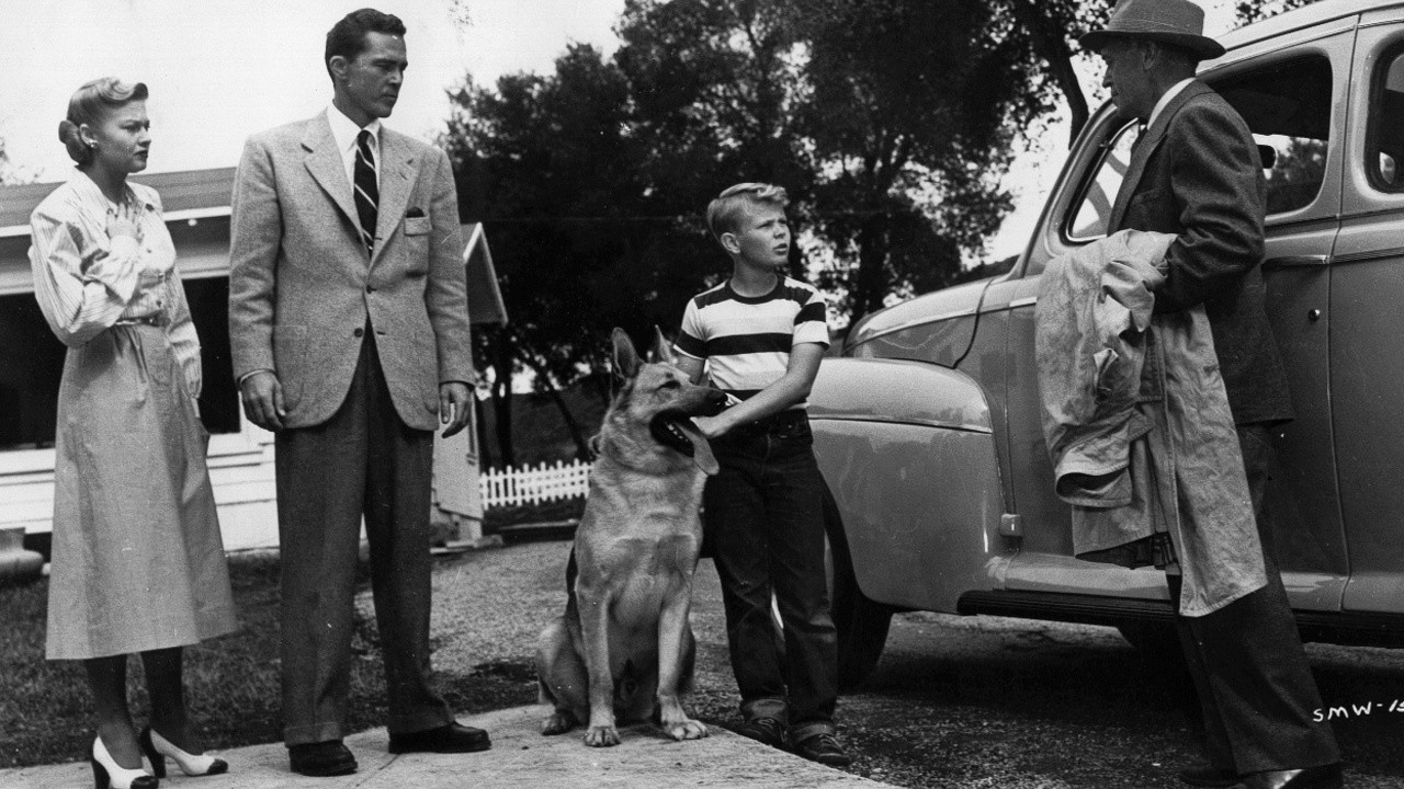 Night Wind (1948) | MUBI