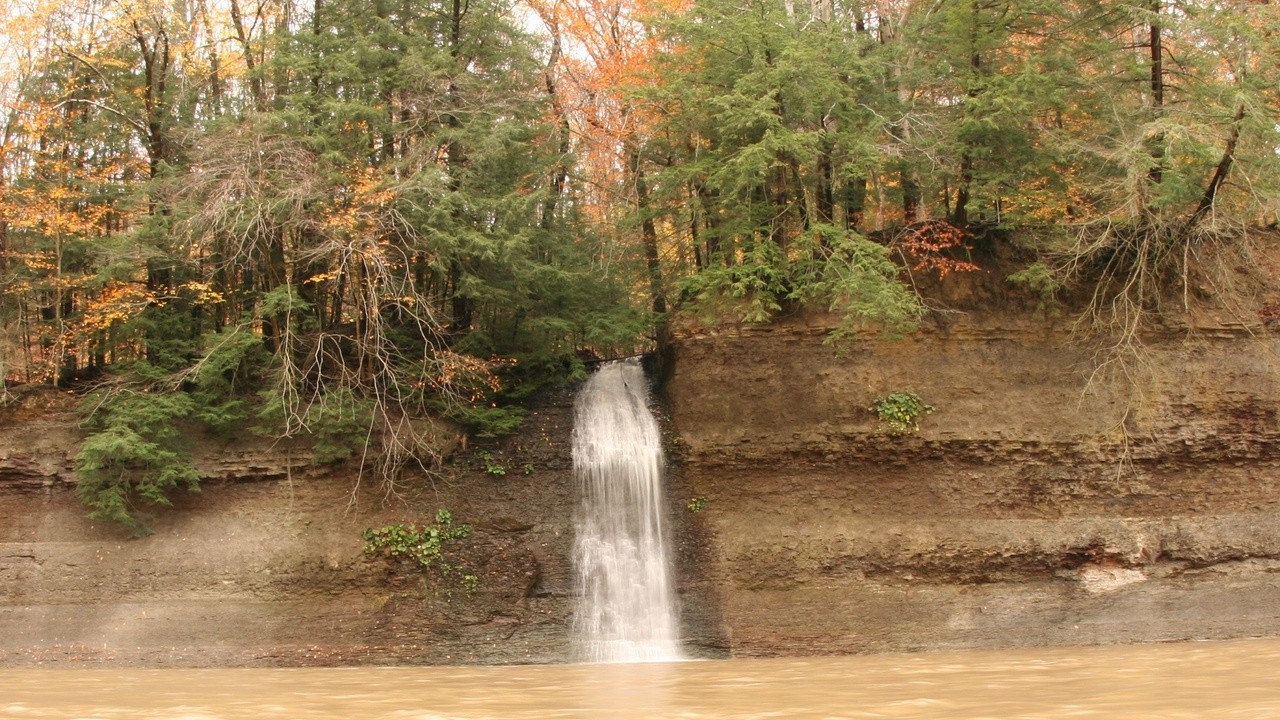 The WaterFall (2001) | MUBI