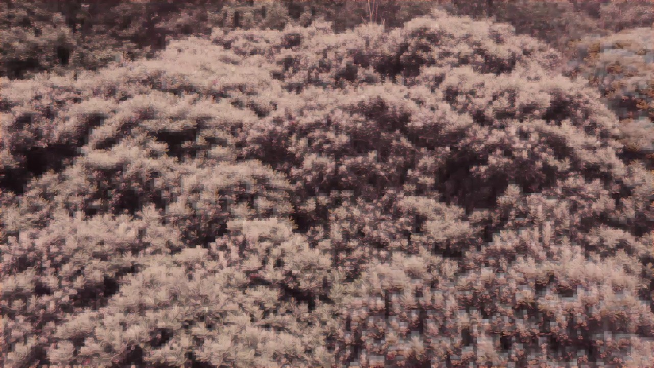 Unmapping The World (2017) | MUBI