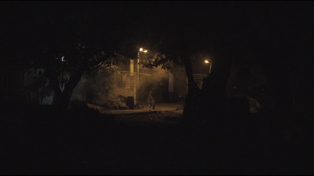 The Sunless Shadows (2020) | MUBI