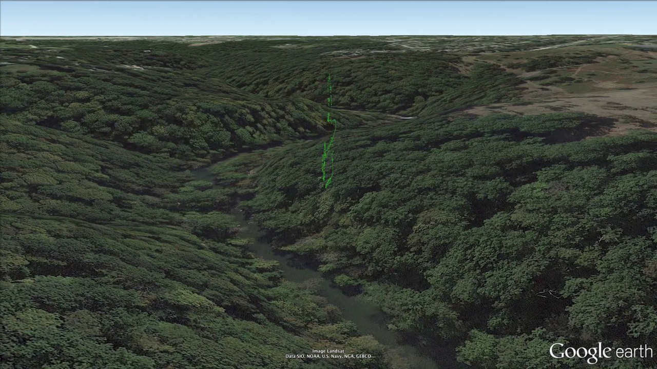 Tree - The Blue Hour (2015) | MUBI