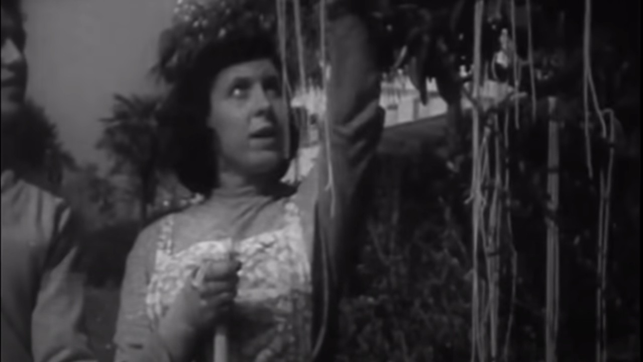 The Swiss Spaghetti Harvest (1957) | MUBI
