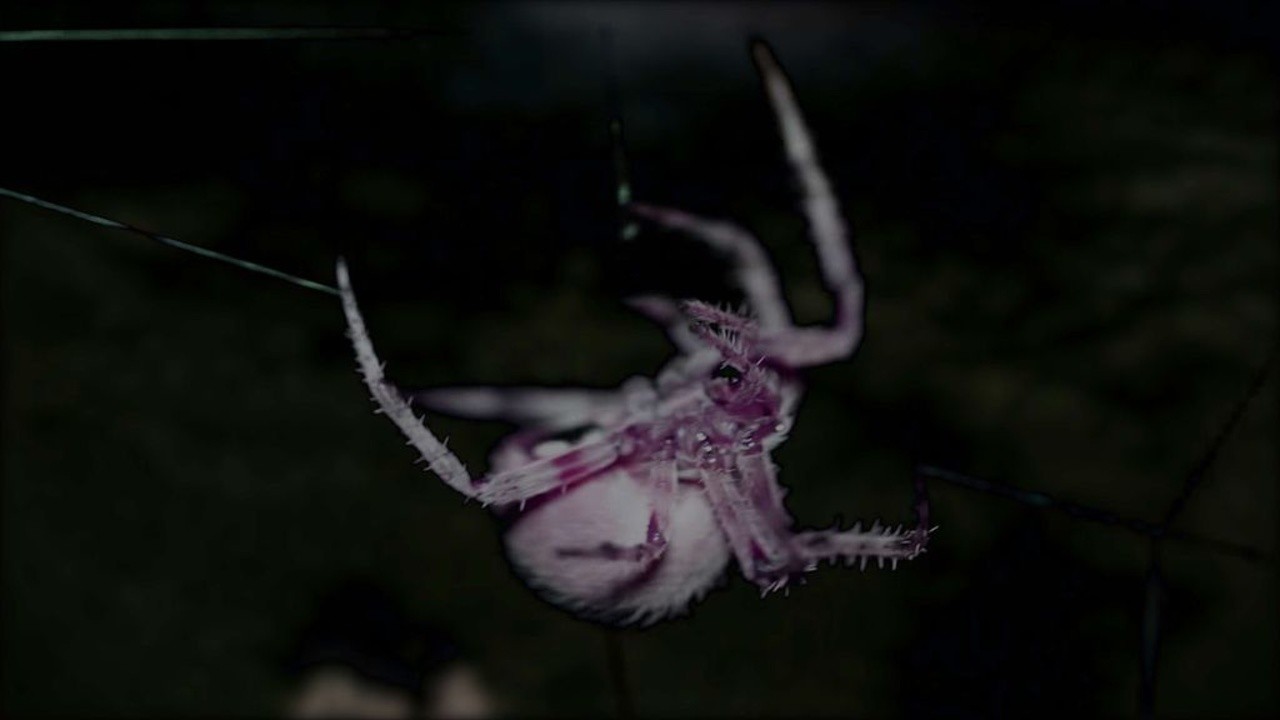 Memby (2020) | MUBI