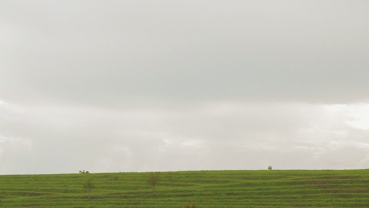 The Runner (2014) | MUBI