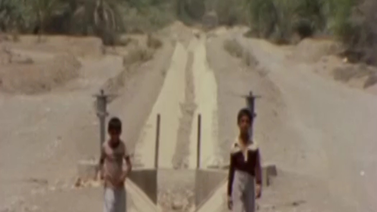 Irrigation Of Minab Plain 1985 Mubi