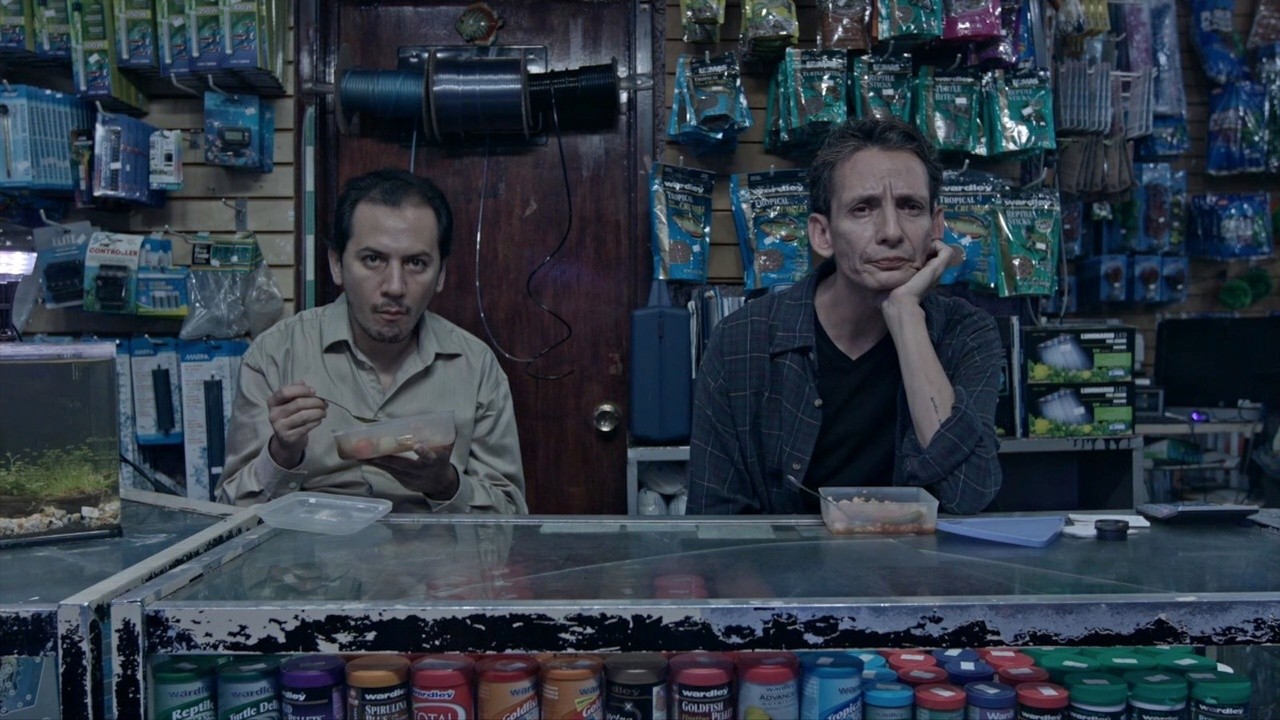 Something Real (2019) | MUBI