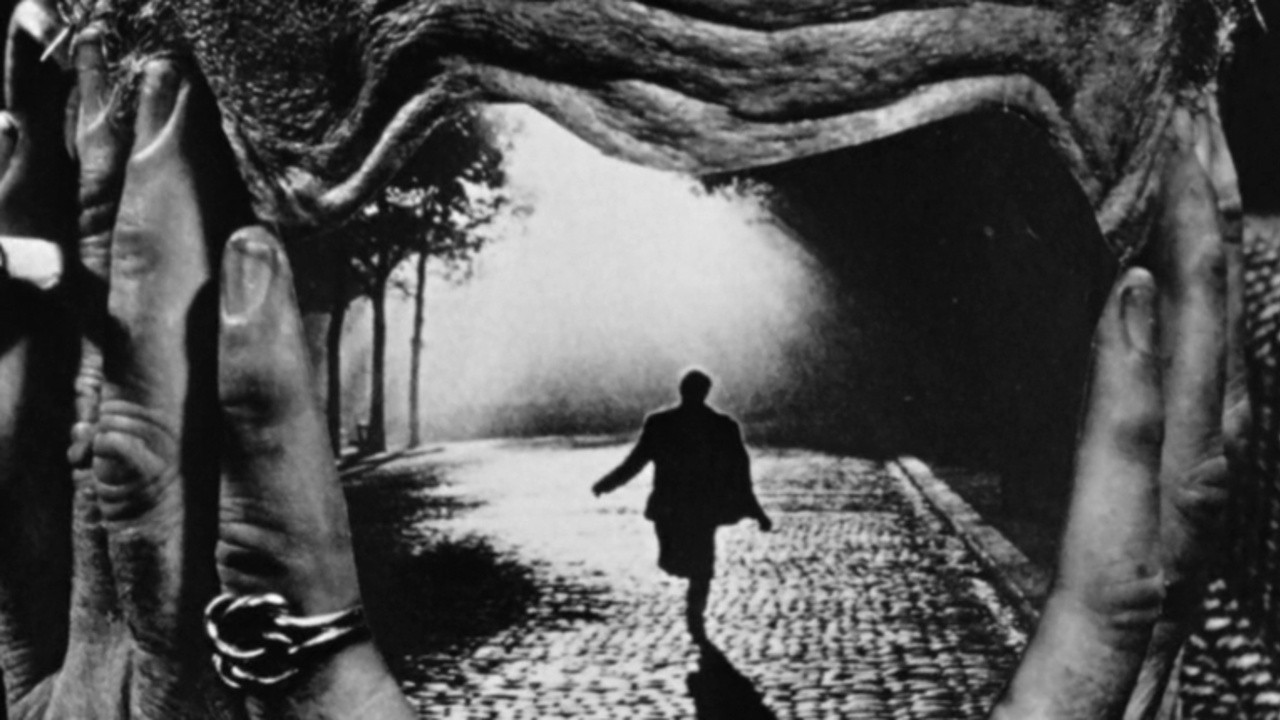 Free Fall (1964) | MUBI