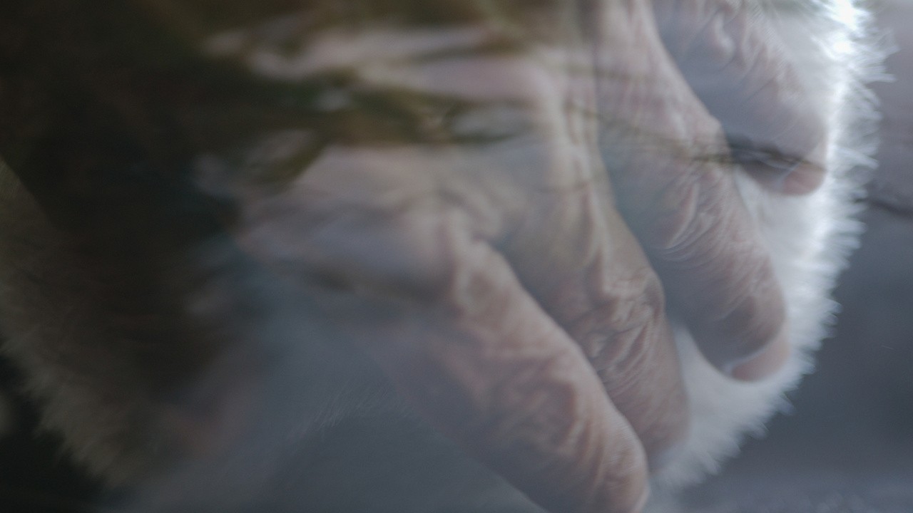 Chachan, a Day (2020) | MUBI