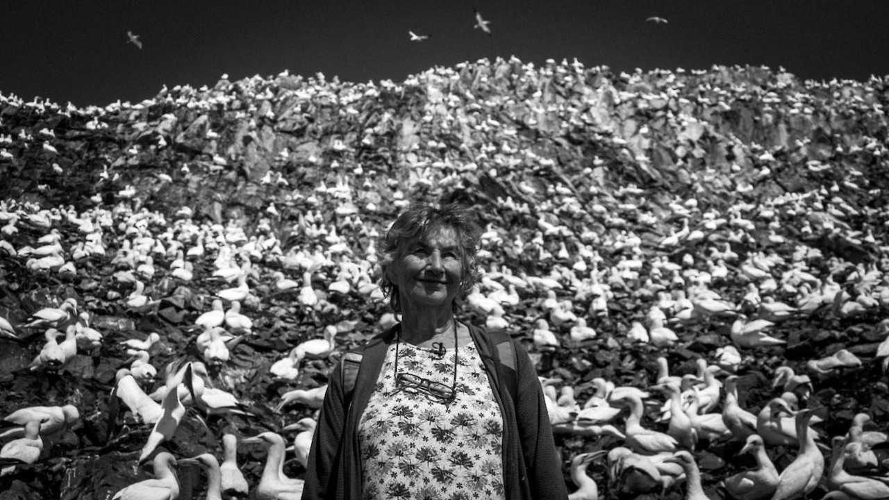 Life on the Rocks (2020) | MUBI