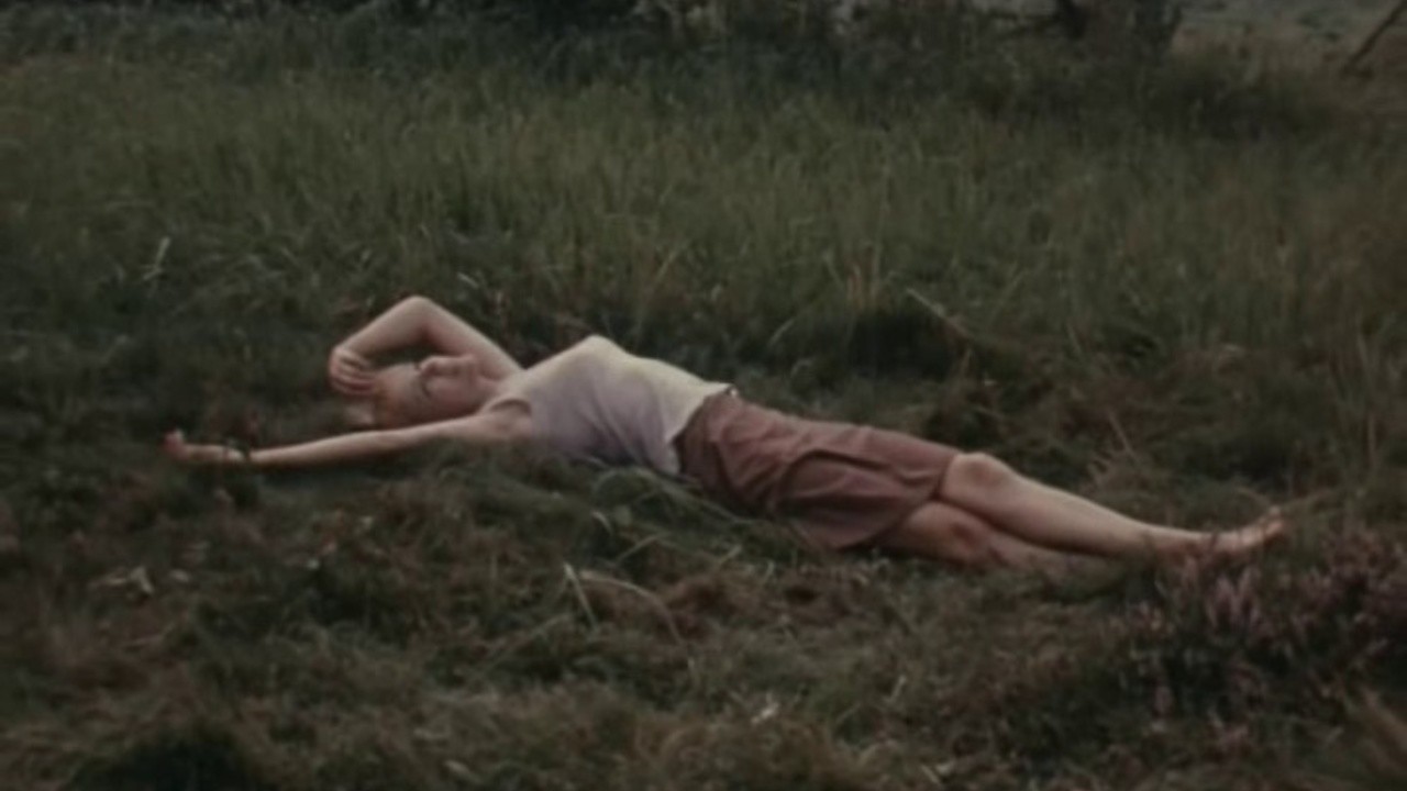 Swallow (1972) | MUBI