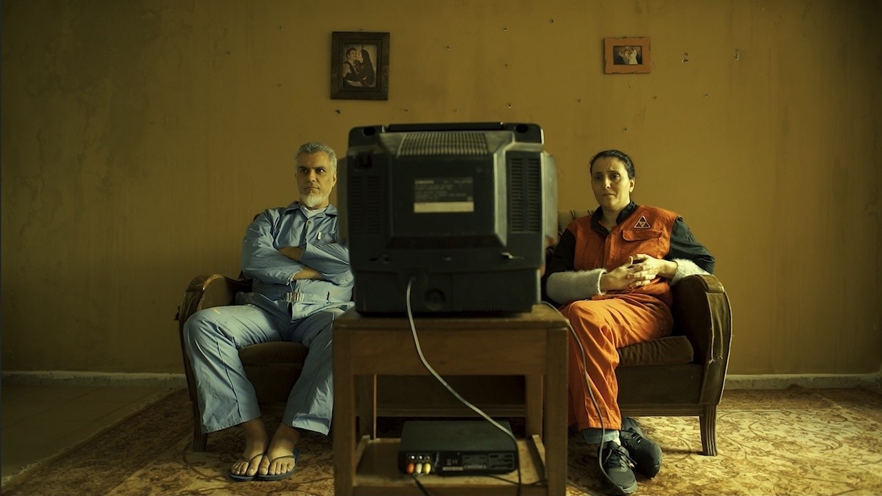The Perfect Picture (2020) | MUBI