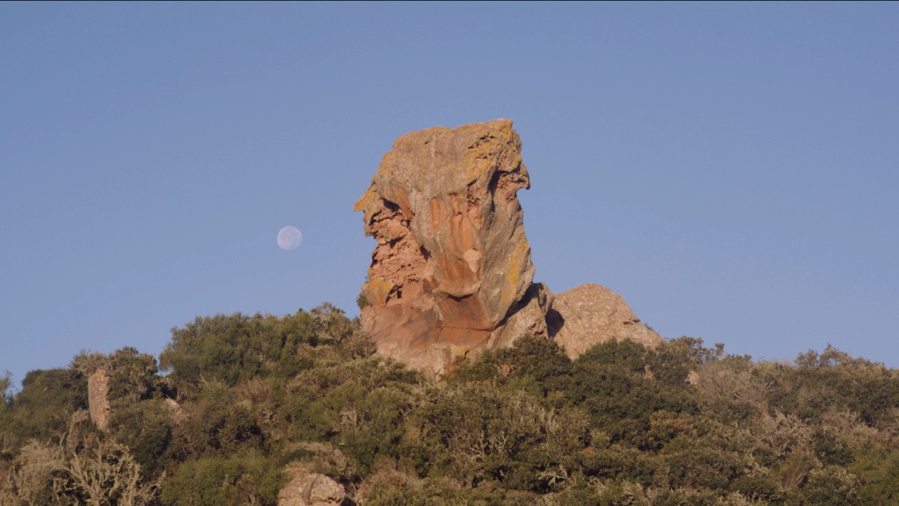 TRAILER - Native Rock (2021)