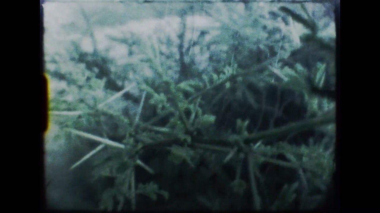 Neon Cortex (2019) | MUBI