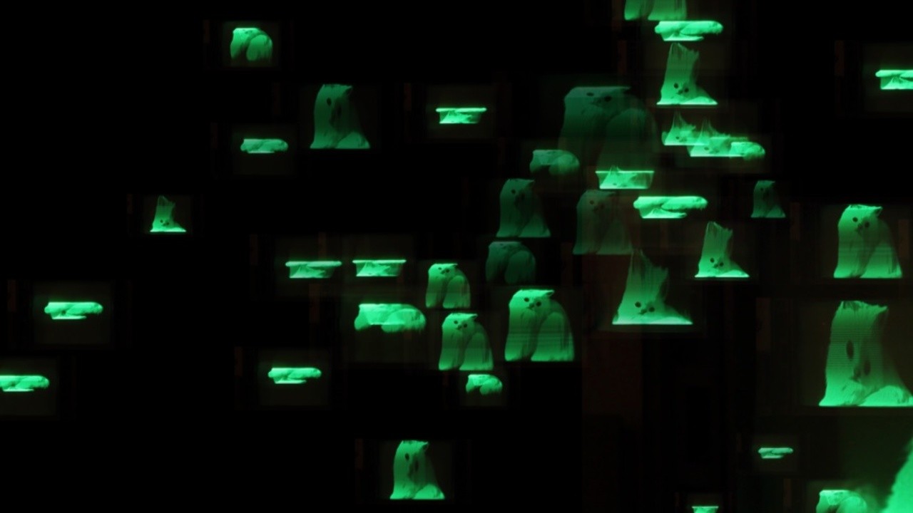 My Favorite Object (2019) | MUBI