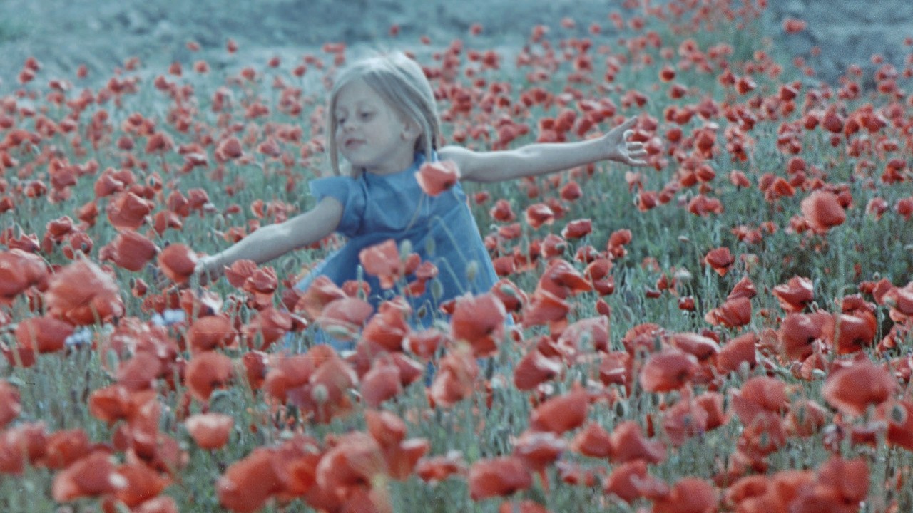 Colorful Dreams (1974) | MUBI