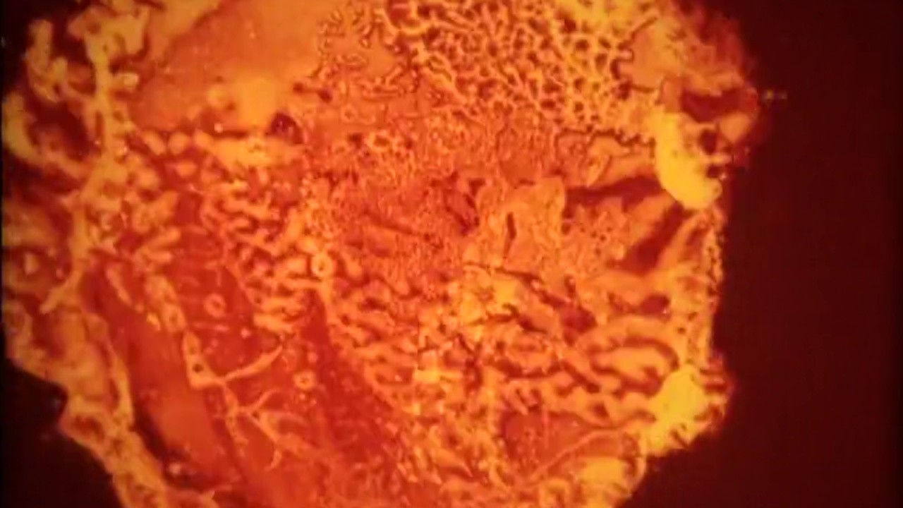 Sol 2013 Mubi