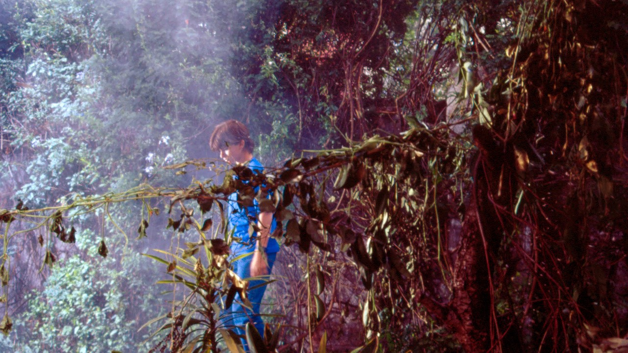 A Beautiful Secret (2002) | MUBI