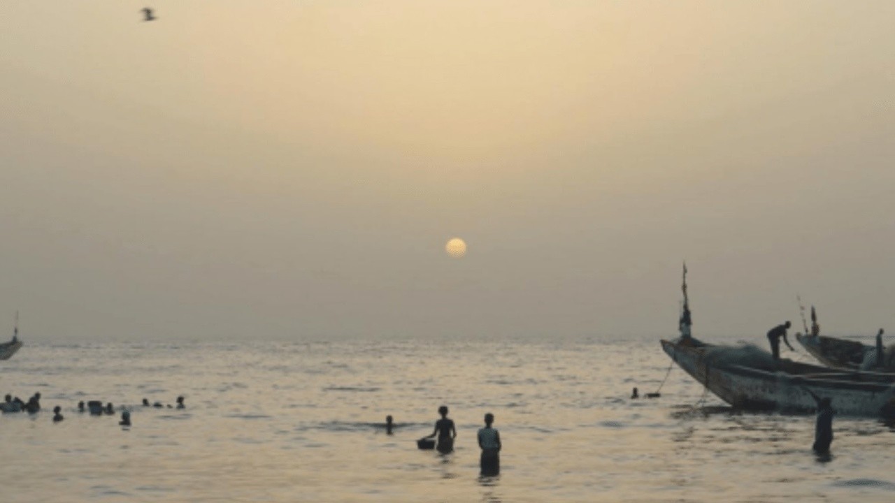 Stolen Fish (2020) | MUBI