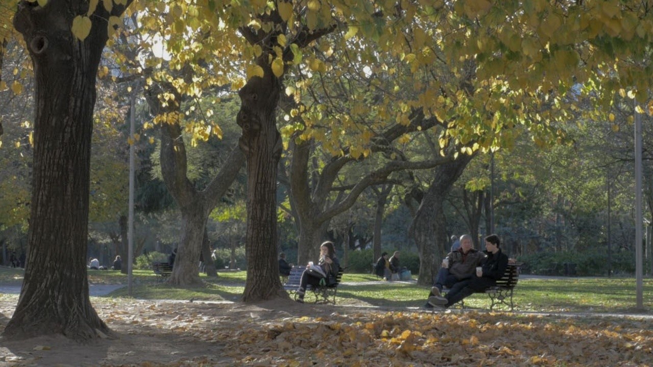 Under the Linden Trees (2020) | MUBI