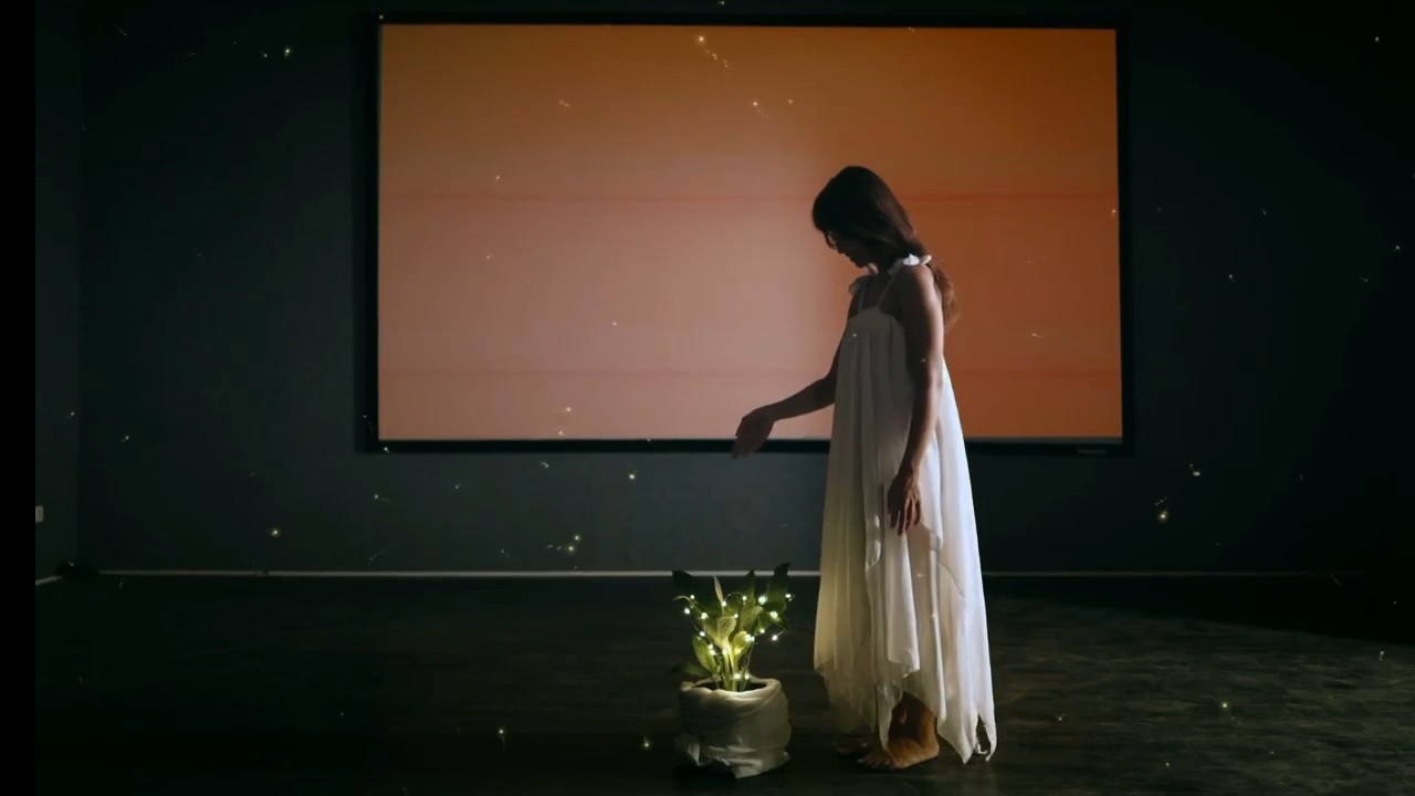 The Screen and The Fireflies (2020) | MUBI