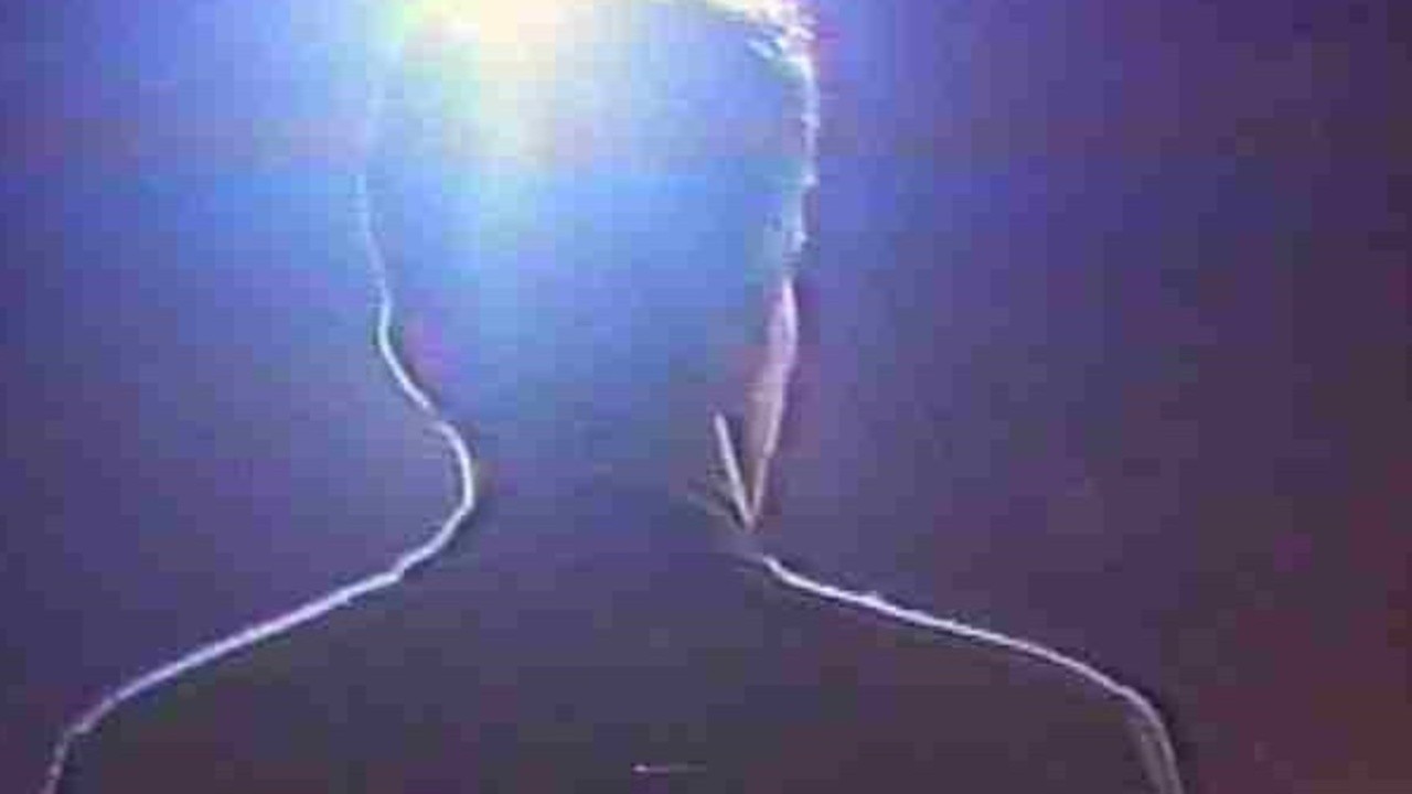 The Assassin (1996) | MUBI