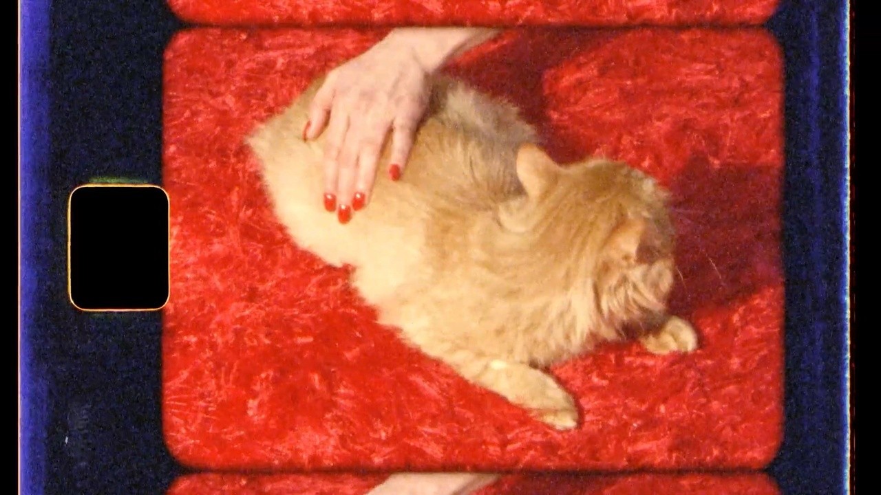 Something for Yourself (2020) | MUBI