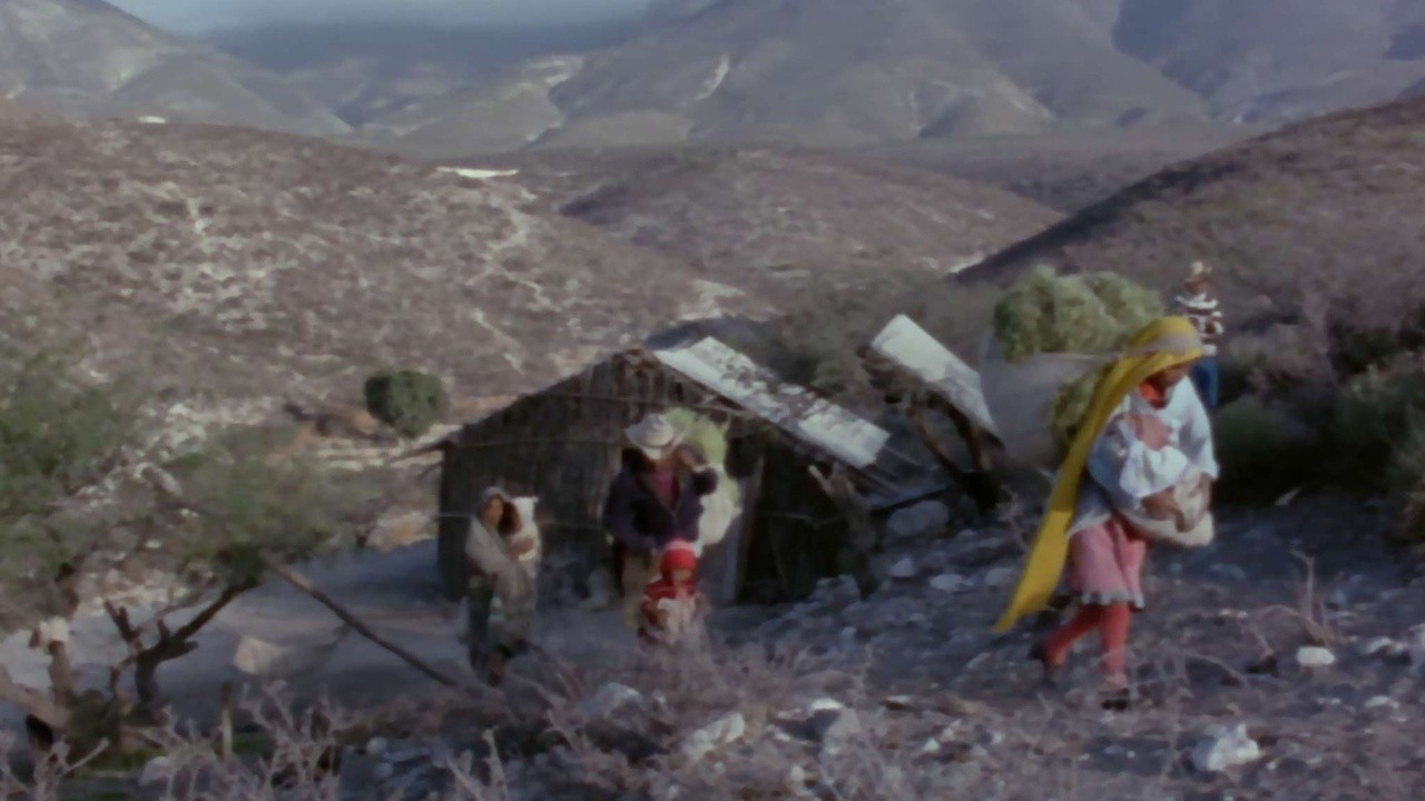 Ethnocide (1977) | MUBI