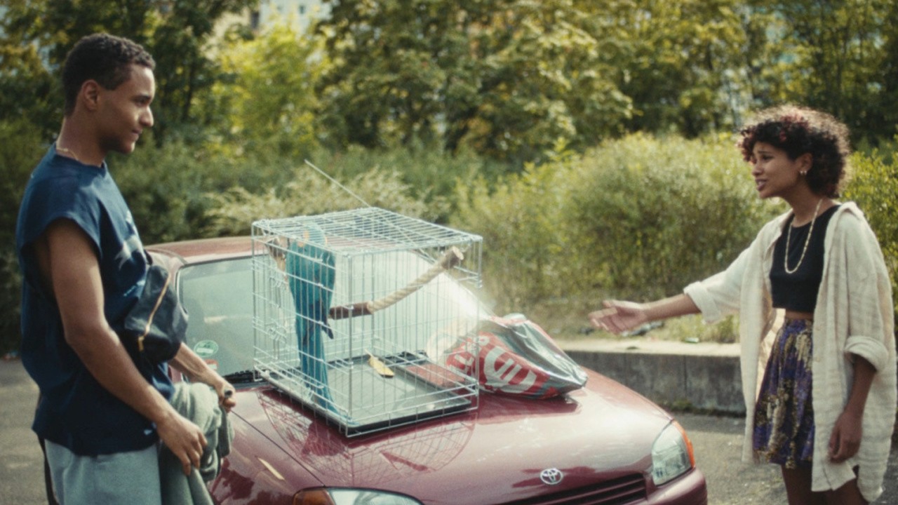 Bird of Paradise (2021) | MUBI