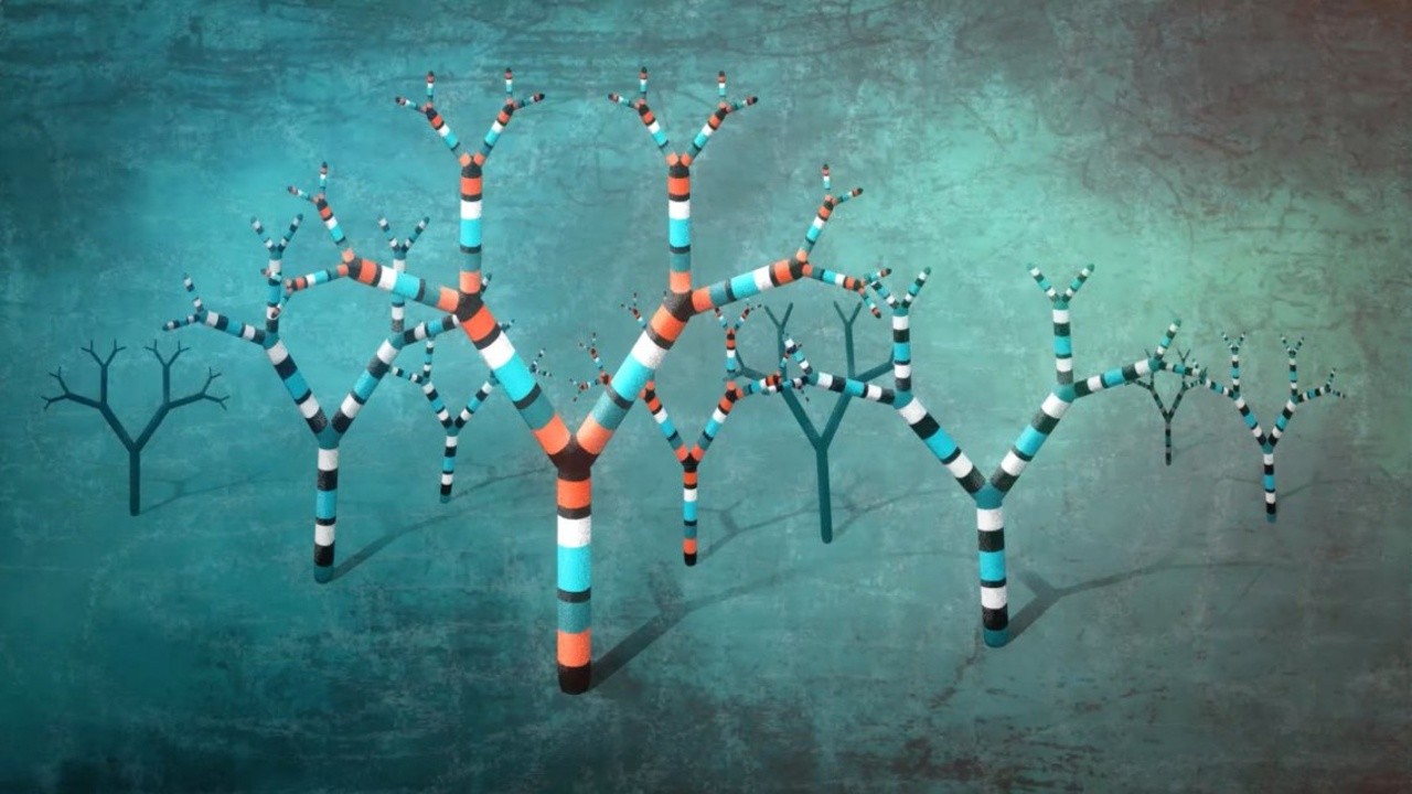 Jung & Restless (2019) | MUBI