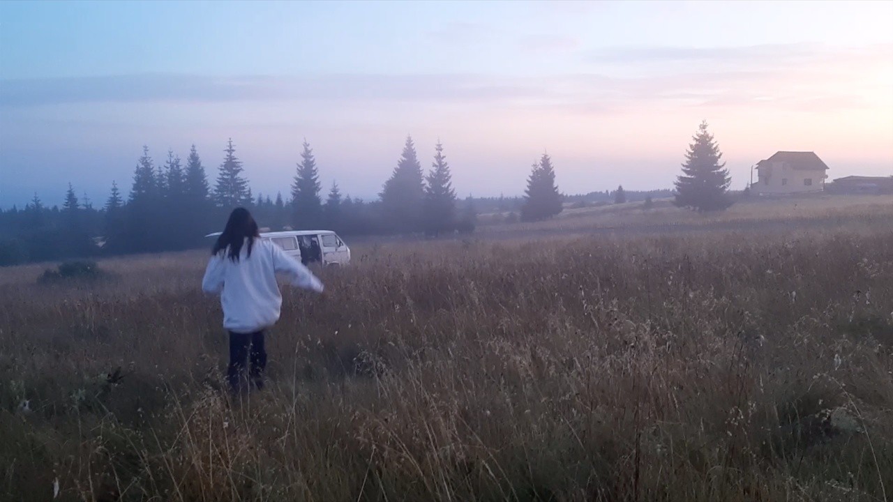 Lady, Van and the Free Man (2020) | MUBI