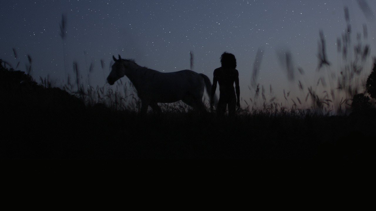 Parallel Universes (2017) | MUBI