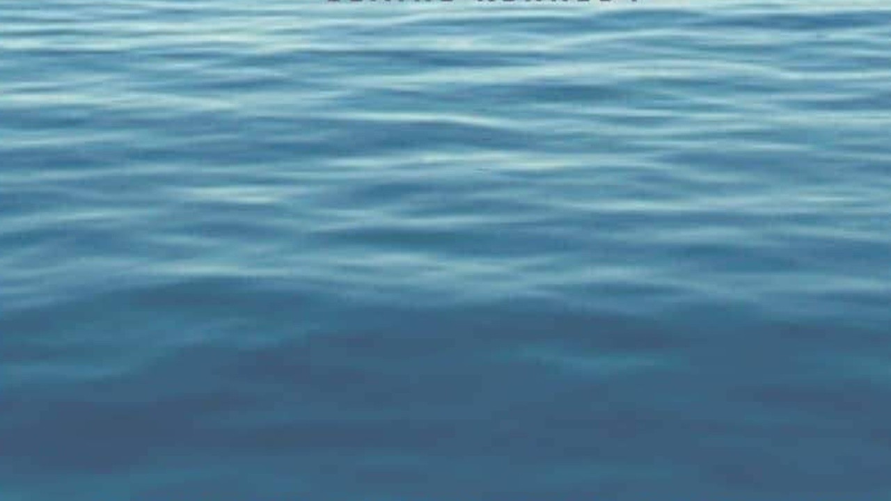 The Space Between Us (2019) | MUBI