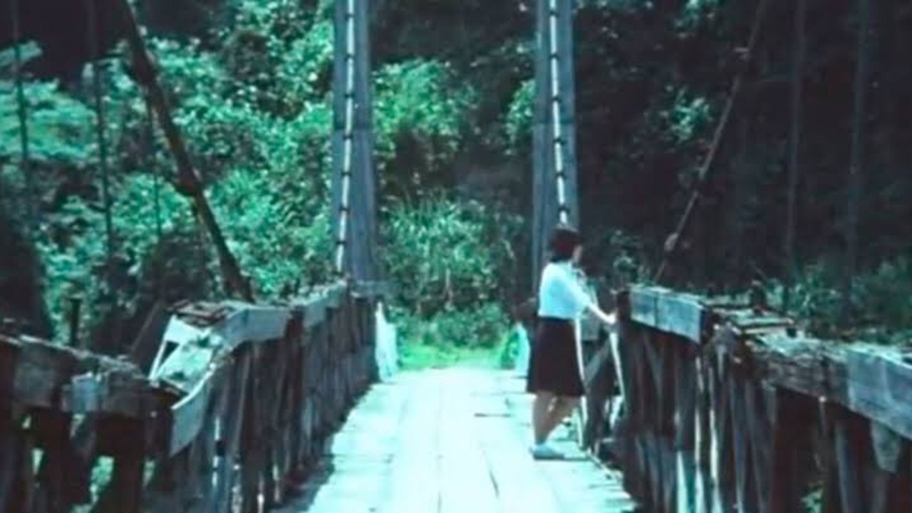 The Cherry Tree with Gray Blossoms (1977) | MUBI