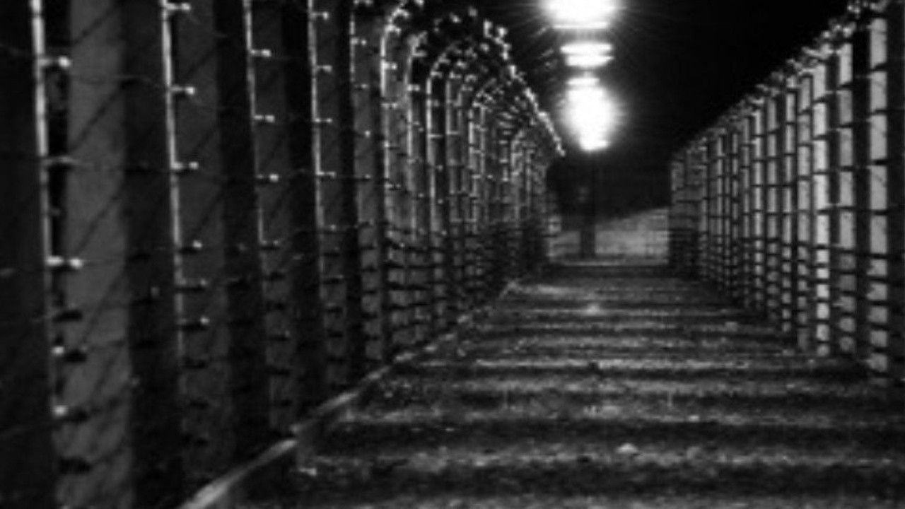 Auschwitz Escape, The Klara Wizel Story (2009) | MUBI