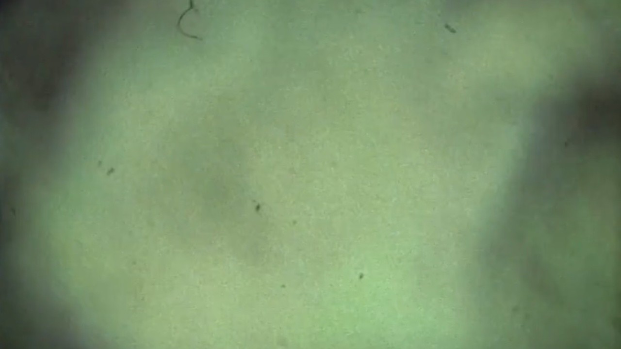 Camera Annihilator (1997) | MUBI