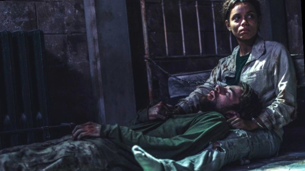 Wildcat (2021) | MUBI