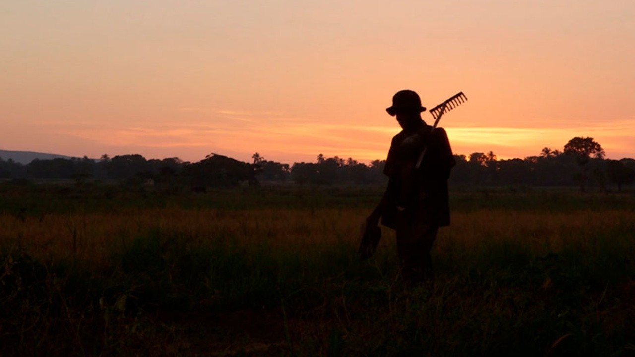 Kombit (2015) | MUBI