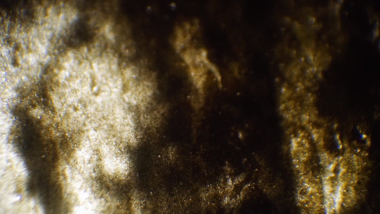 Primordial (2015) | MUBI