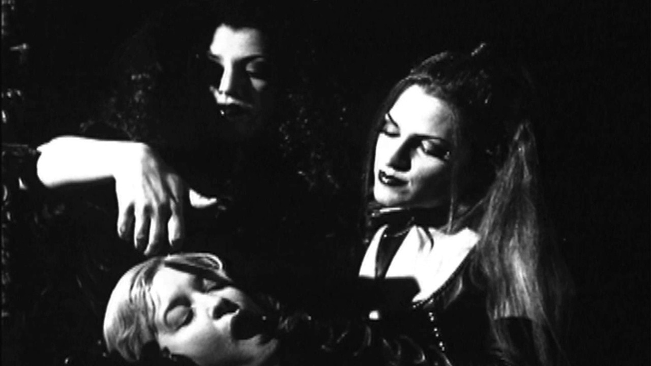 Ladies of the Night (1998) | MUBI