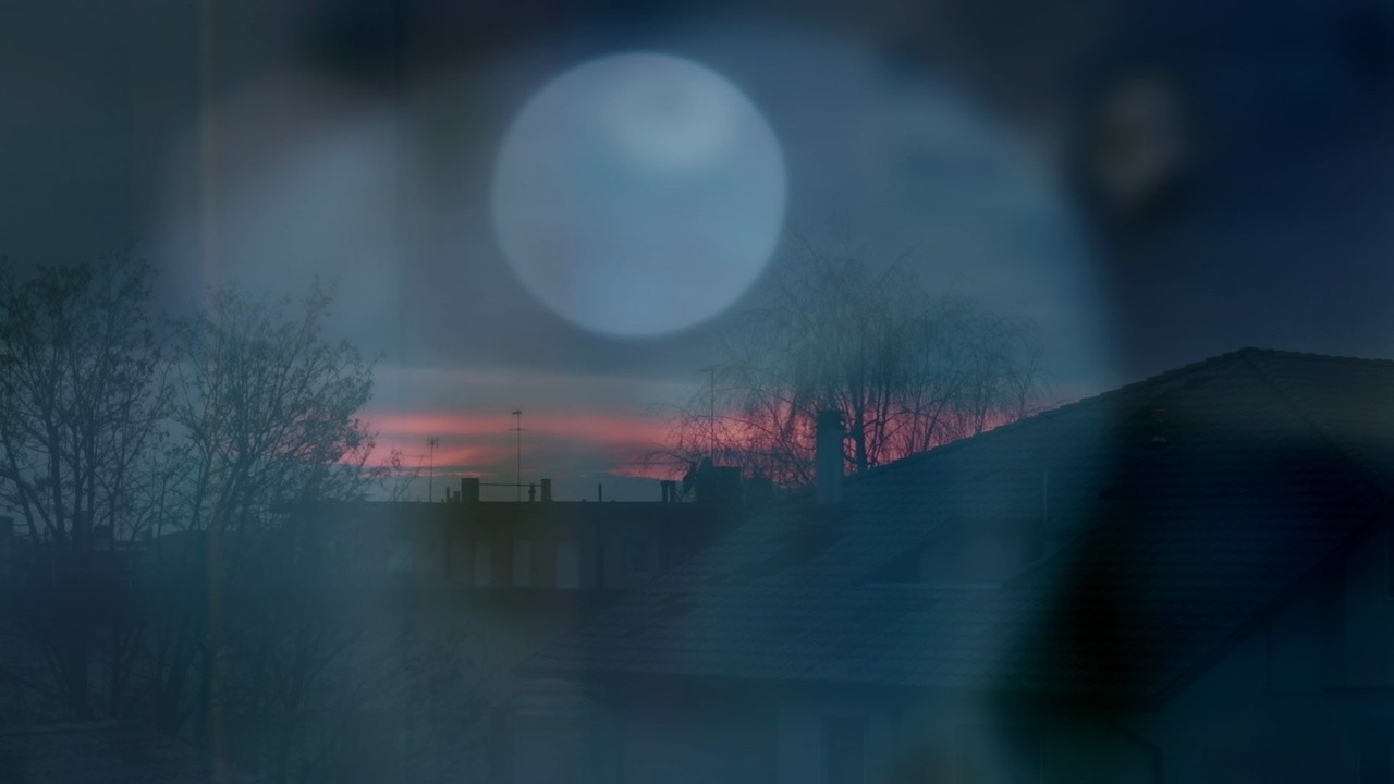 I Am Alone, and I Cannot Leave My House (2021) | MUBI