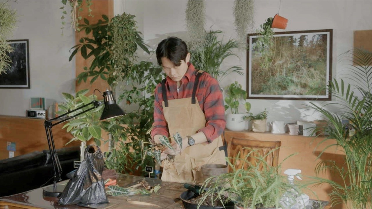 Plant Cafe, Warmth (2021) | MUBI
